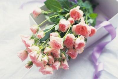 Coroane-Jerbe Brasov